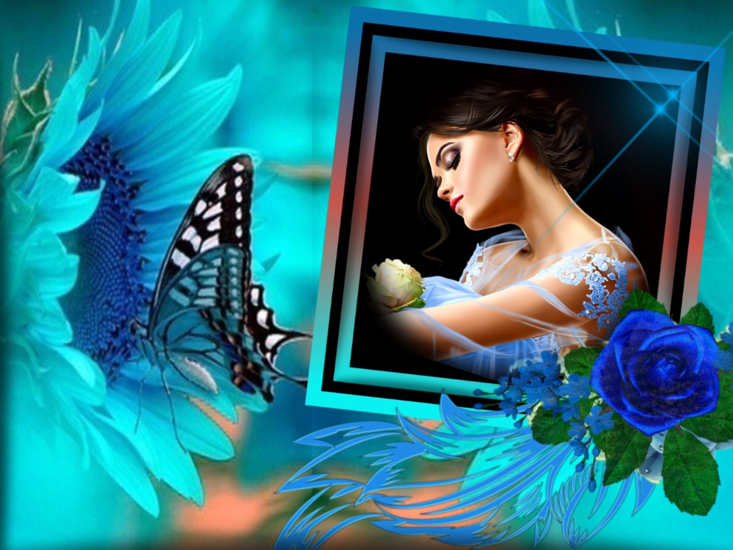 Wienie Coppen's Photos - beautiful butterfly frame - beautiful ...