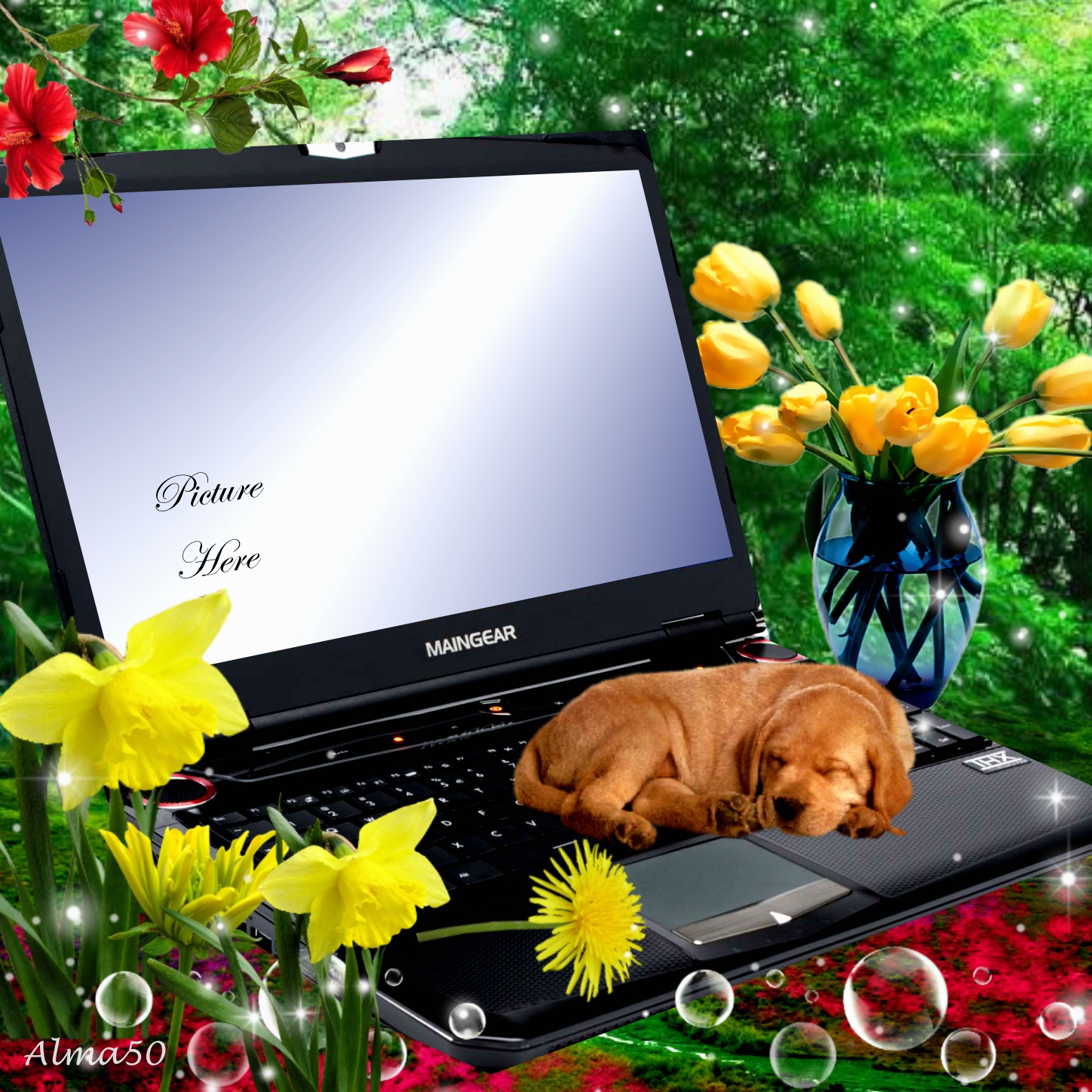 alma50's Sunsets, Scenery and Nature Frames - 2013 March - Nature ...