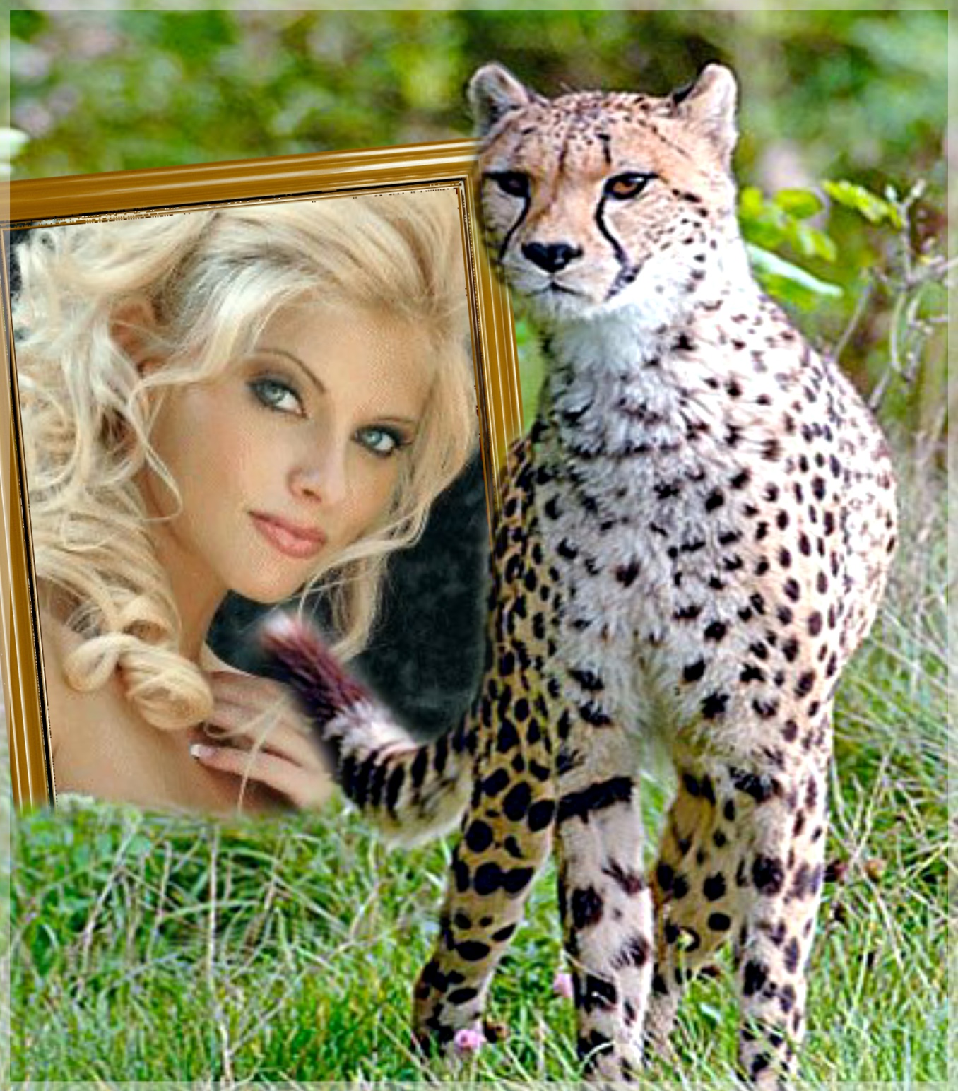 evmasy's Algeria Frames - 2012 March - 2014 - wildlife photo africa ...