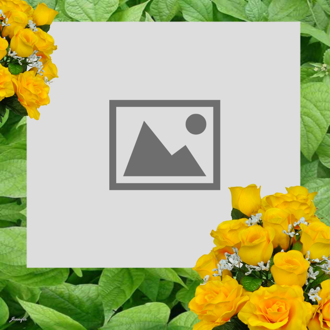 Jennifer Wilson's Roses - Roses Yellowroses - Roses Yellowroses