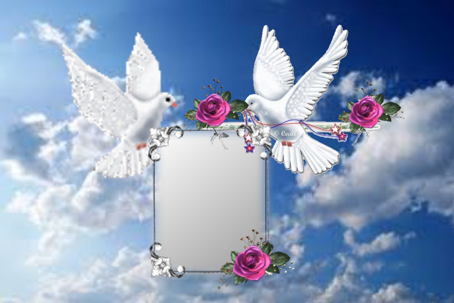 Trille123's In Memory Of... Frames - 2013 February - 2013 February - T ...