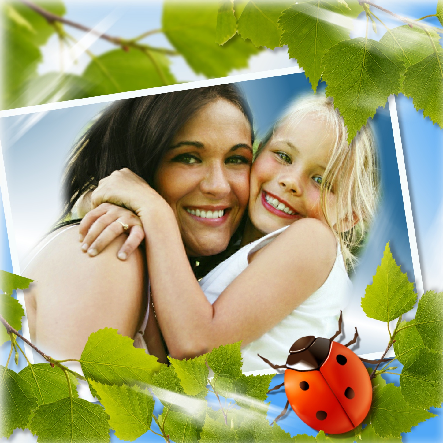 evmasy's More Special Day Frames - 2016 - wonderful moment rose flower ...