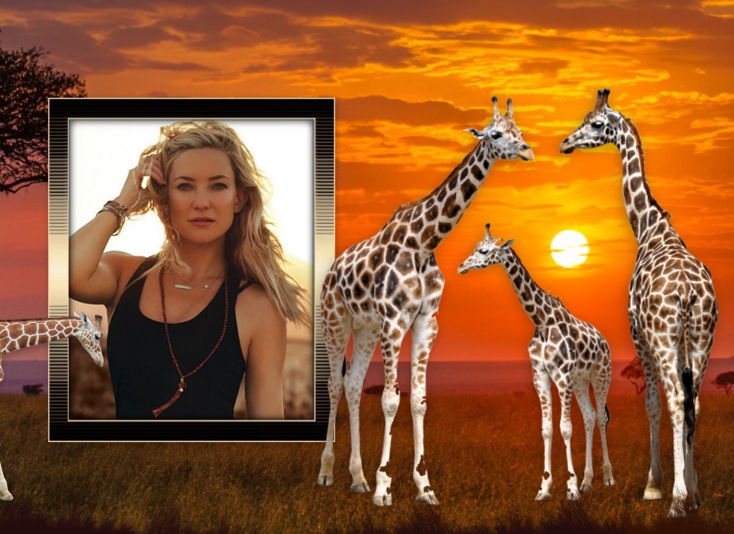 Elizabeth's ANIMALS & WILDLIFE 🙈 - Giraffe Africa Elizabeth - Giraffe ...