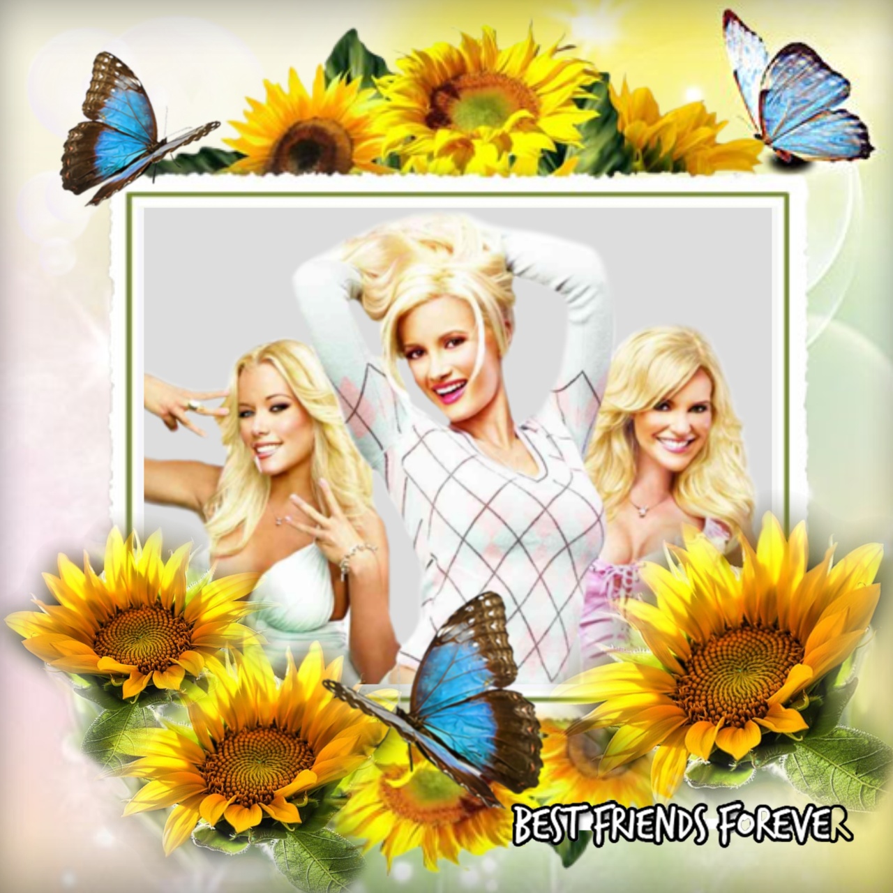 Adelaide's AMIGOS - AMIZADE - FRIENDS - FRIENDSHIP - Adelaide ...