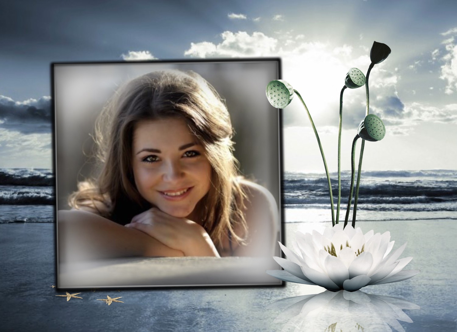 Elizabeth's BEACH & OCEAN 🌎 ⛱ - Beach Ocean Lotus - Beach Ocean Lotus ...