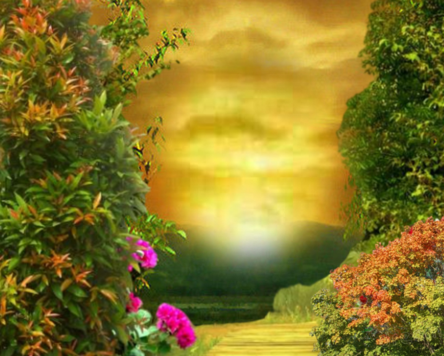 Emily50's Nature and Sunset - Nature Sunset SunriseHave A Nice ...