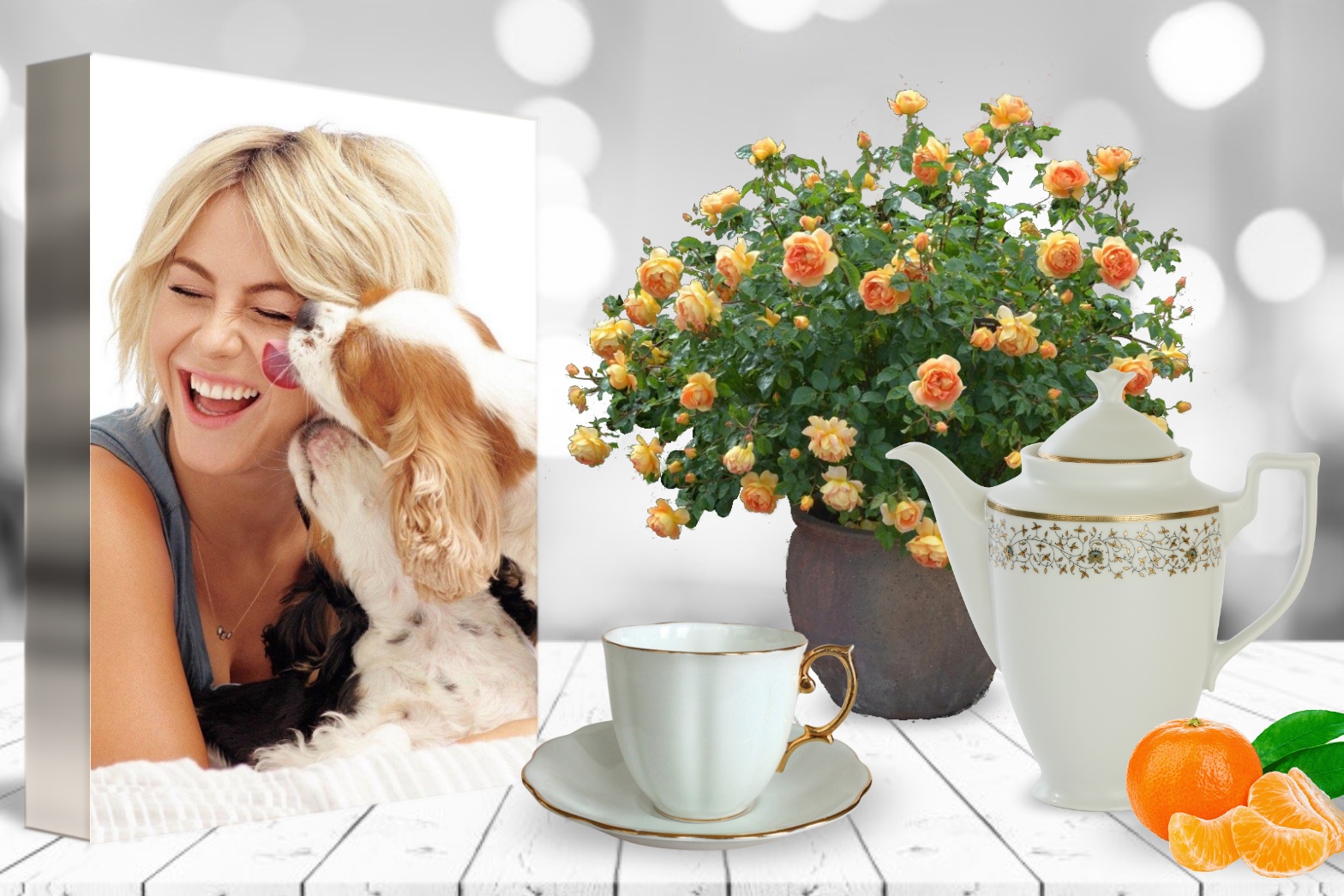 Elizabeth's GOOD MORNING/DAY/NIGHT ⭐️ 3/3 - Haveagreatday Orange Rose ...